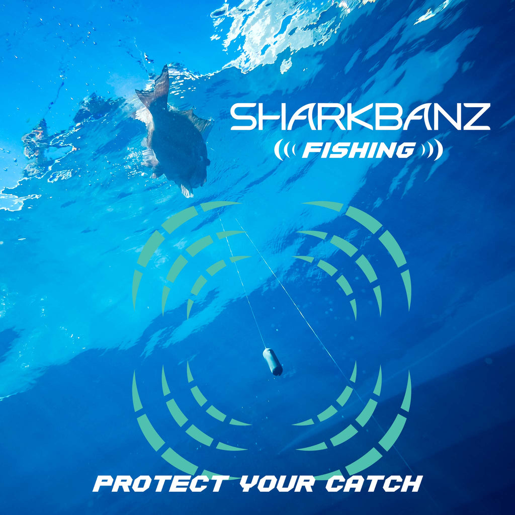 Sharkbanz Fishing - Zeppelin – Sharkbanz Australia